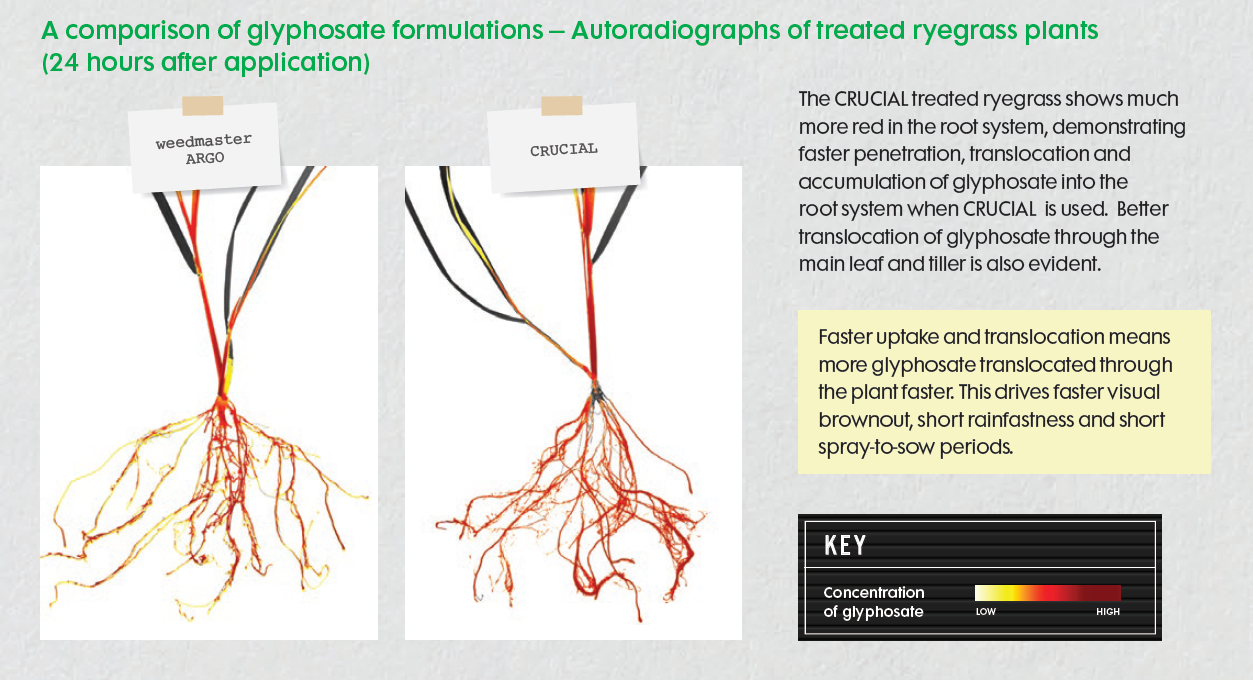 Your Next Step In Glyphosate Technology - AW Vater & Co