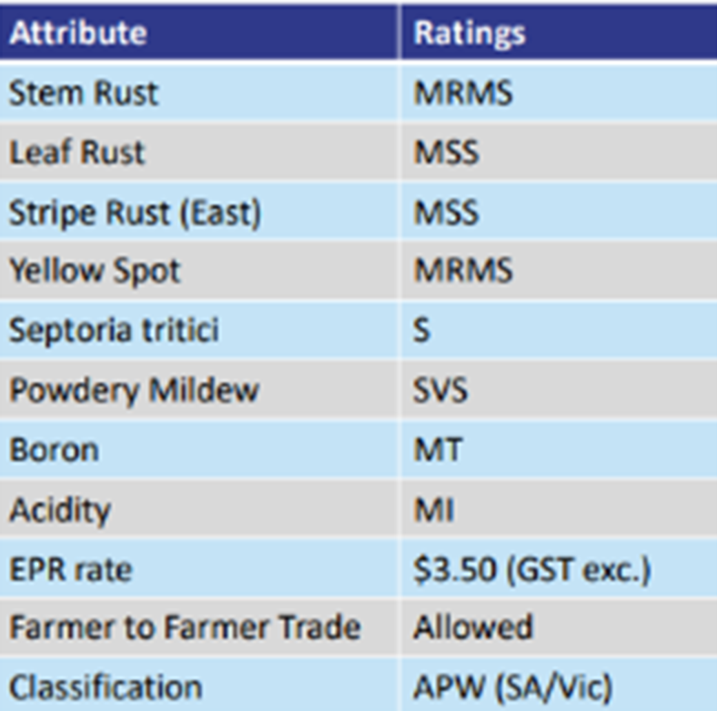 3 New Cereals To Look At In 2024 - AW Vater & Co